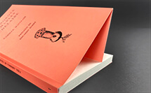 Solapas de un libro: cuándo deben usarse y qué incluir en ellas