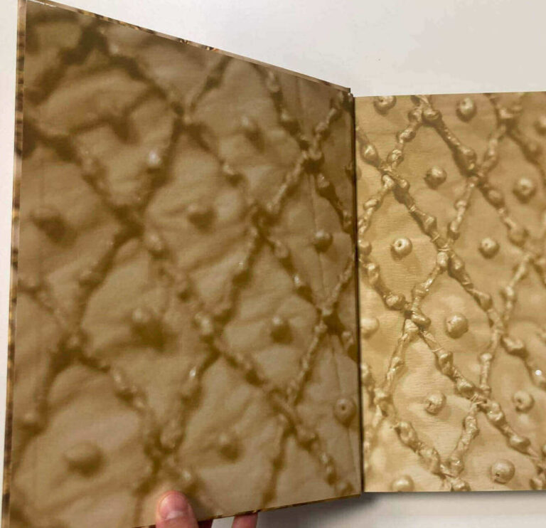 Las guardas de un libro: definición y distintos usos